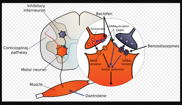 Pharmacy Course Materials Archives - Page 2 of 5 - Pharmawiki.in
